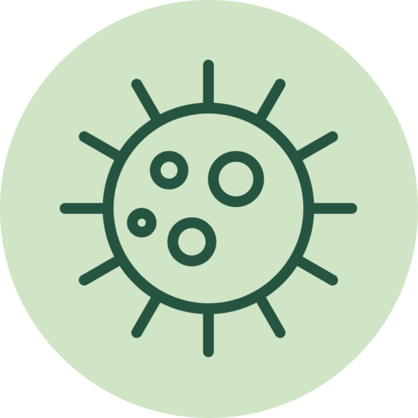 Humane Papillomviren (HPV): Symptome, Ursachen, Behandlung