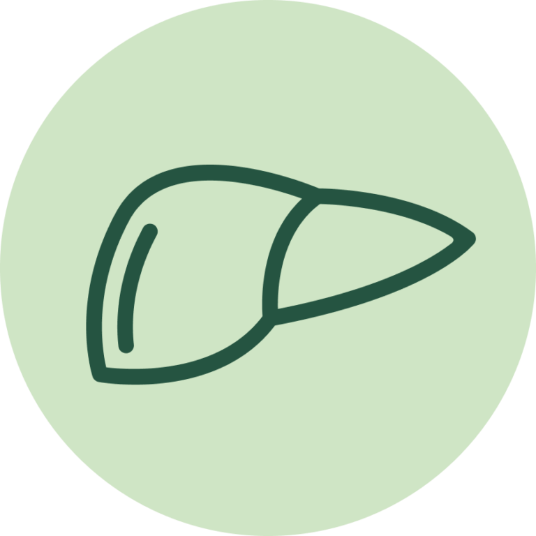 Fettleber: Symptome, Ursachen, Behandlung