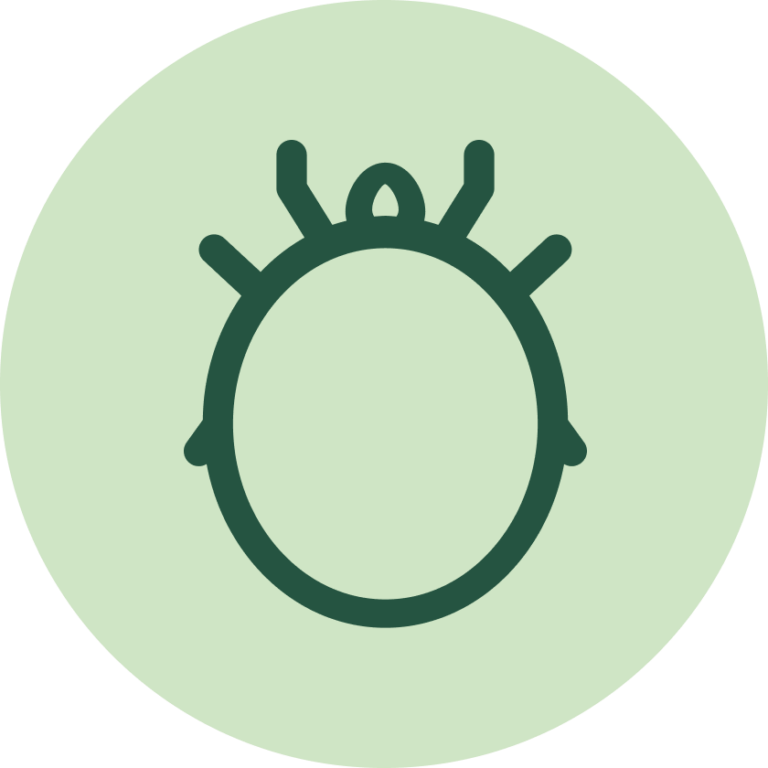 Flohbisse: Symptome, Behandlung, Vorbeugung