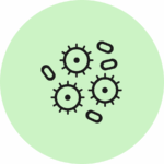 Humane Papillomviren (HPV): Symptome, Ursachen, Behandlung